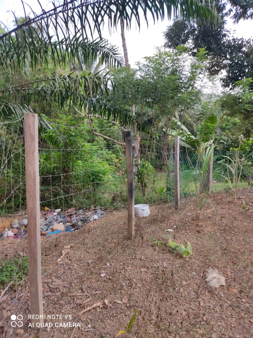Pagar kebun anti Babi hutan – pagar kebun