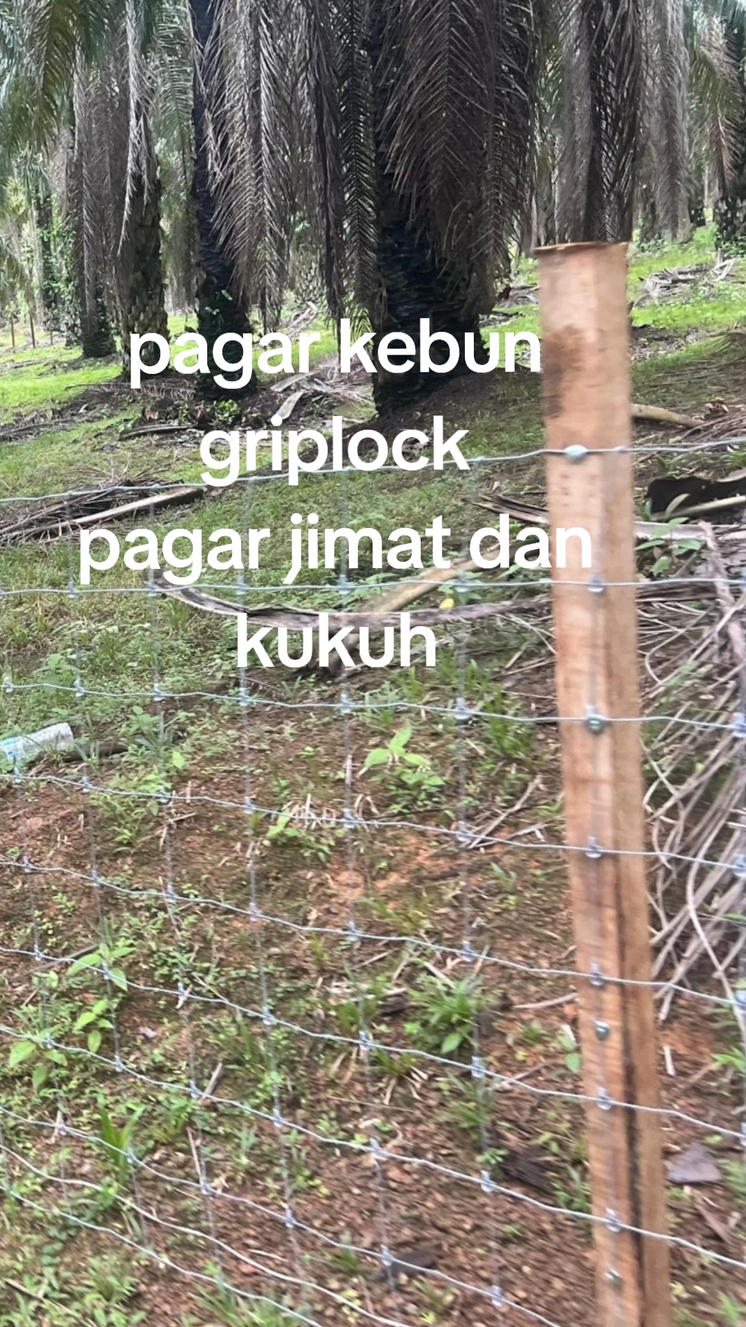 Contoh pagar kebun jimat Dan kukuh – pagar kebun